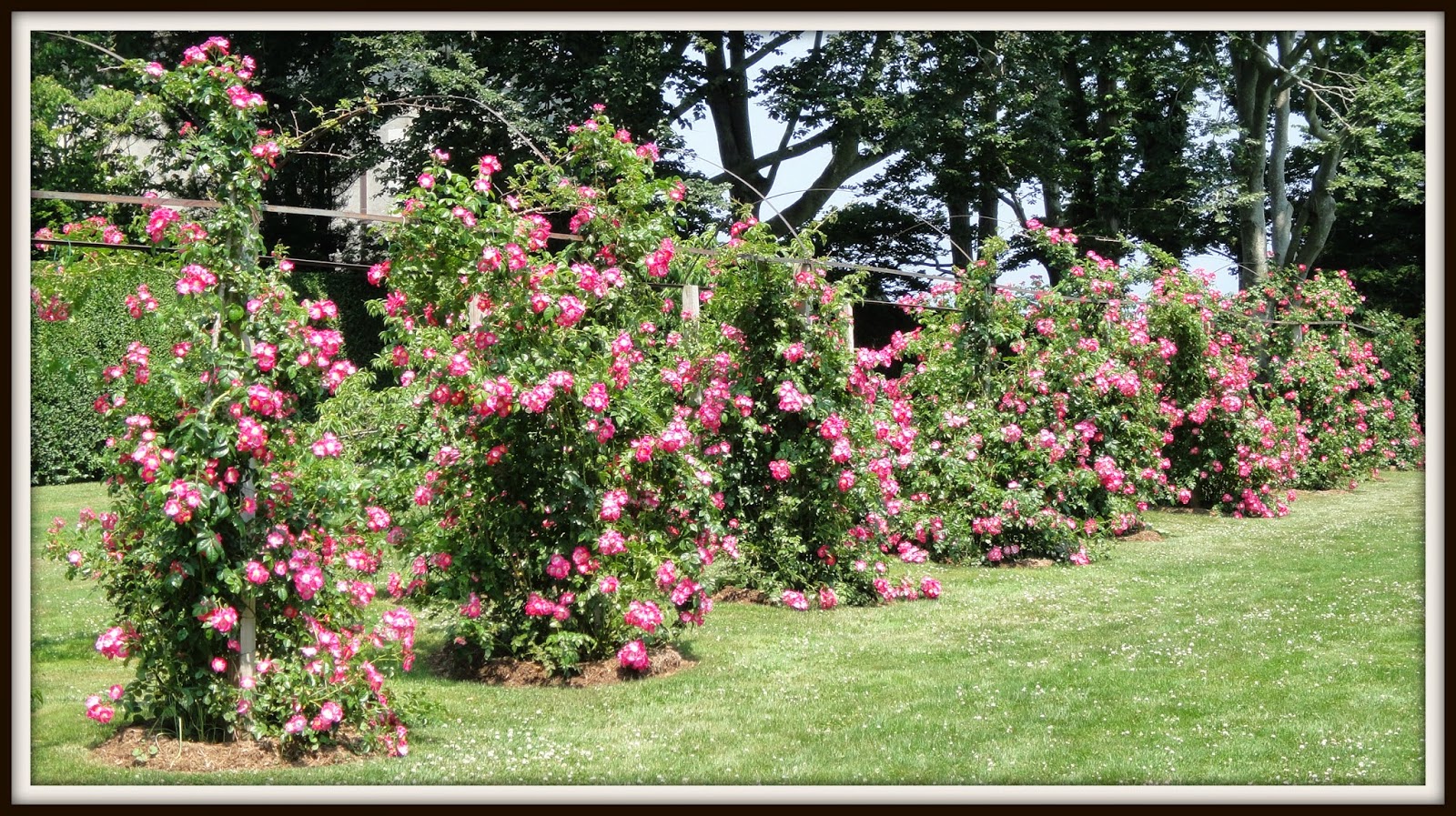 Sharing Divine Inspiration: Newport, RI