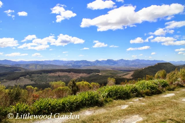 Littlewood Garden Lodge - Urlaub an der Gardenroute : Ausflug ins ...