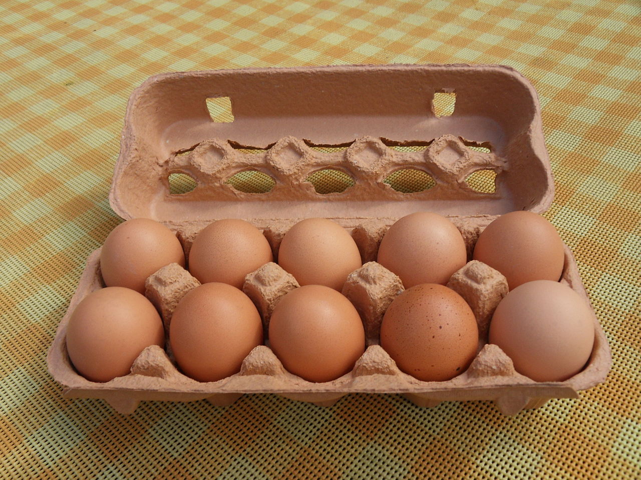 Peluang Usaha Telur Ayam | Distributor Telur Jakarta, Supplier Telur di ... Peluang Usaha Telur Ayam | Distributor Telur Jakarta, Supplier Telur di ...