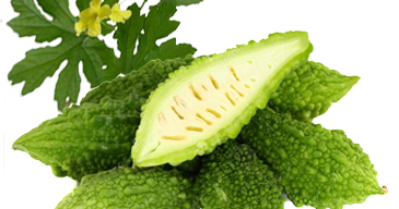 Rasa Pahit Pare Yang Sangat Bermanfaat ~ Healthypedia
