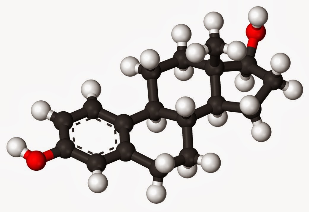 Meio Ambiente: Estrogênio - Hormônio feminino - (C18H24O3)