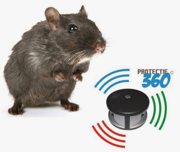 Anti rozatoare cu ultrasunete! | einsecticide.ro