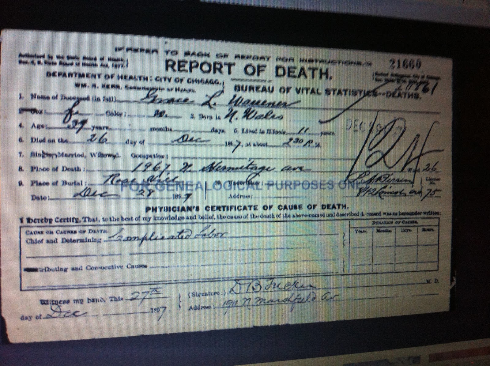 THE BLACK SOCIAL HISTORY:: BLACK SOCIAL HISTORY : AFRICAN AMERICAN ...