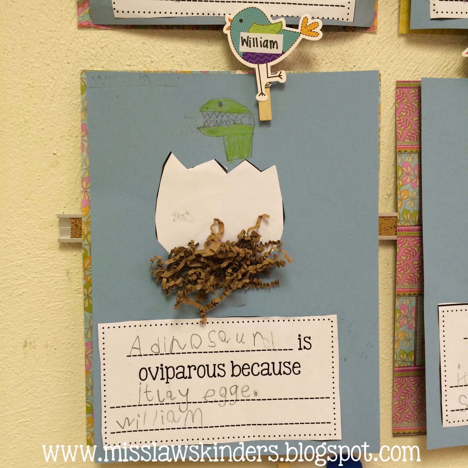 Miss Law's Kinders: Oviparous Animal Life Cycles-{Day 2: All About ...