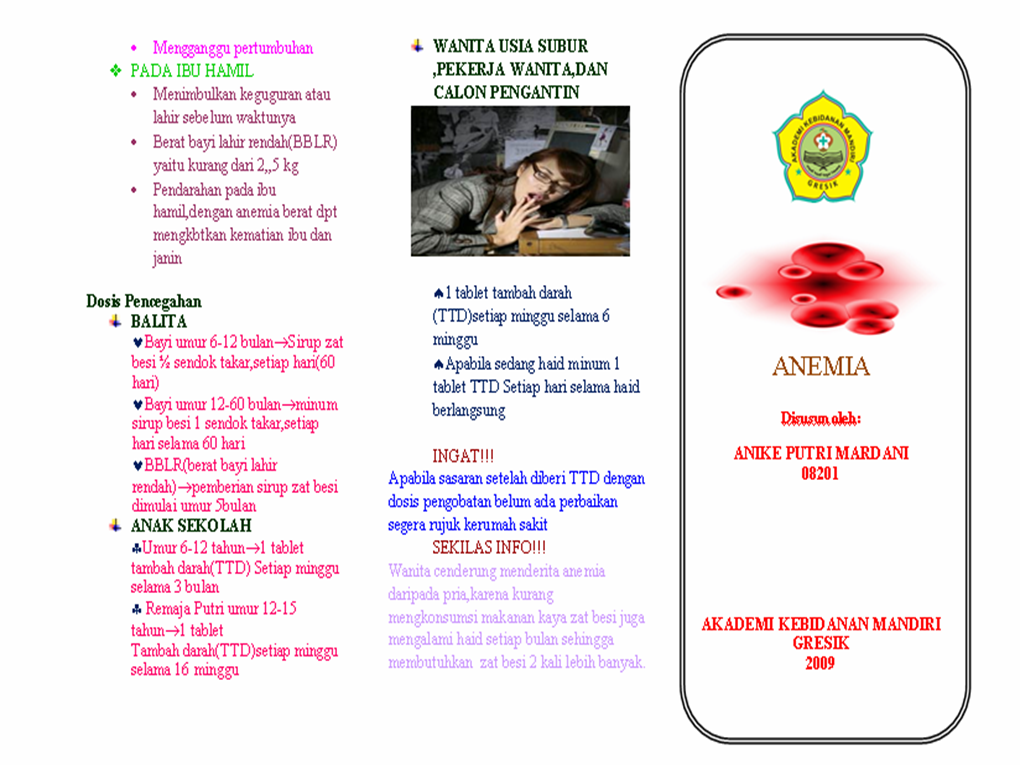 Anike Putri Mardani: LEAFLET ANEMIA