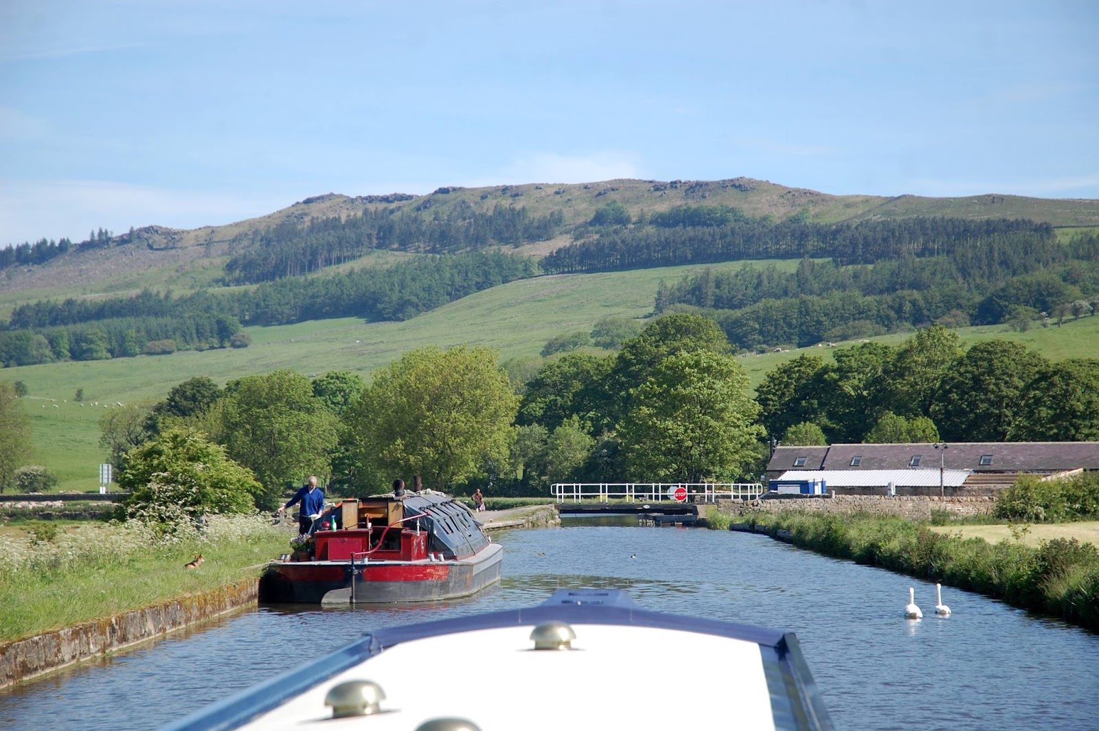 Narrowboat Bacchus: Gargrave.