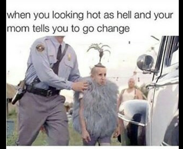 28 Funniest Memes Photos That Make Your Day | 9GIG