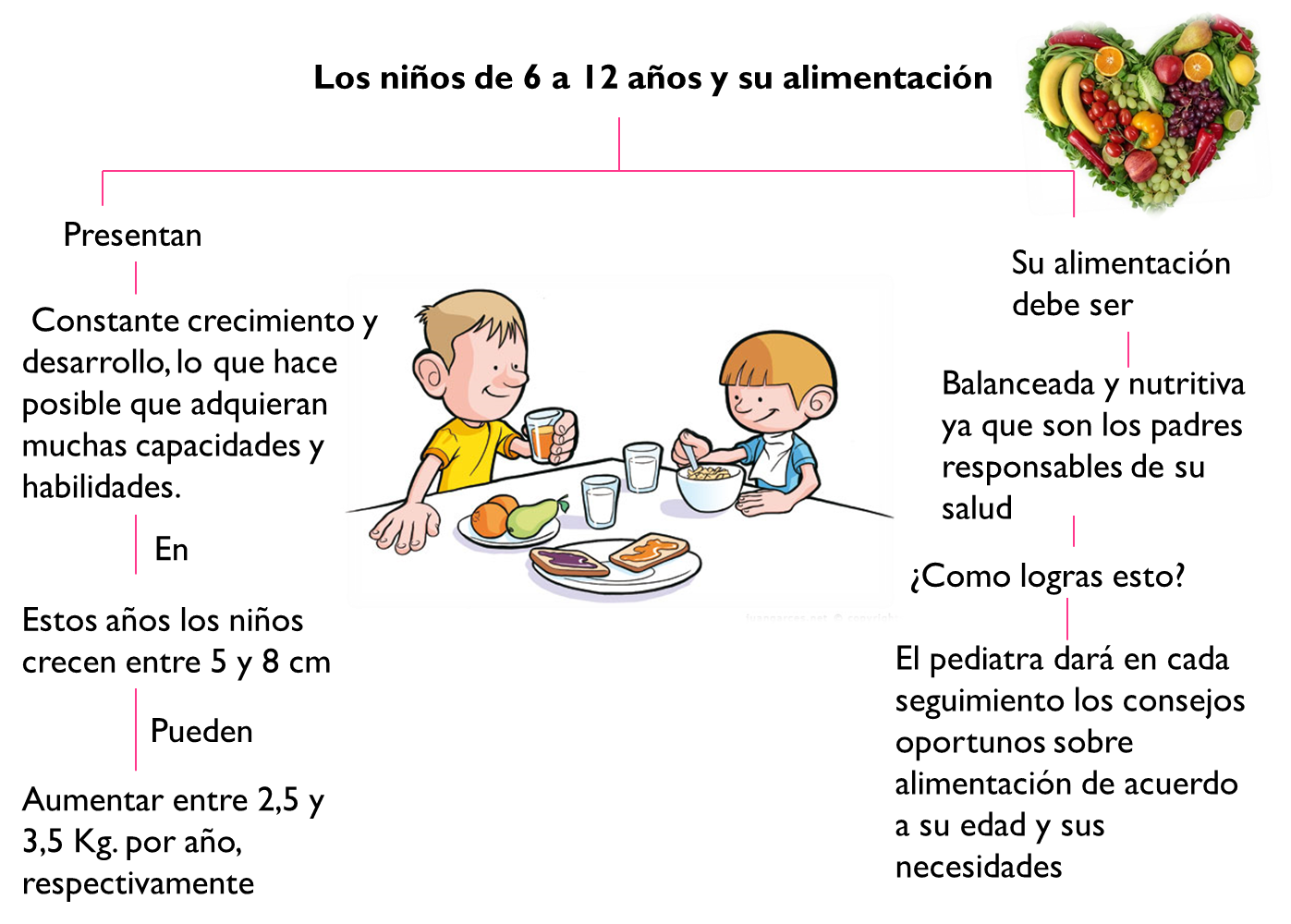 Alimentación y Nutrición: Alimentación de niños desde los 6 a 12 años