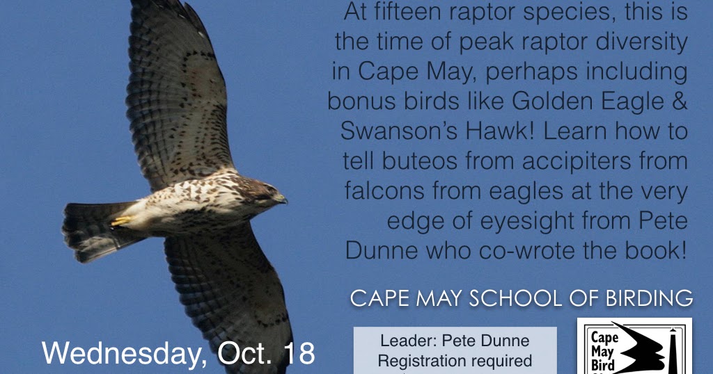 View from the Cape: HAWKS IN FLIGHT with Pete Dunne - October 18 & 19