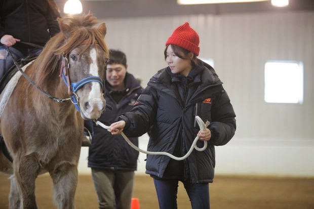 Cheff Therapeutic Riding Center: 5 Reasons Why You Should Volunteer at ...