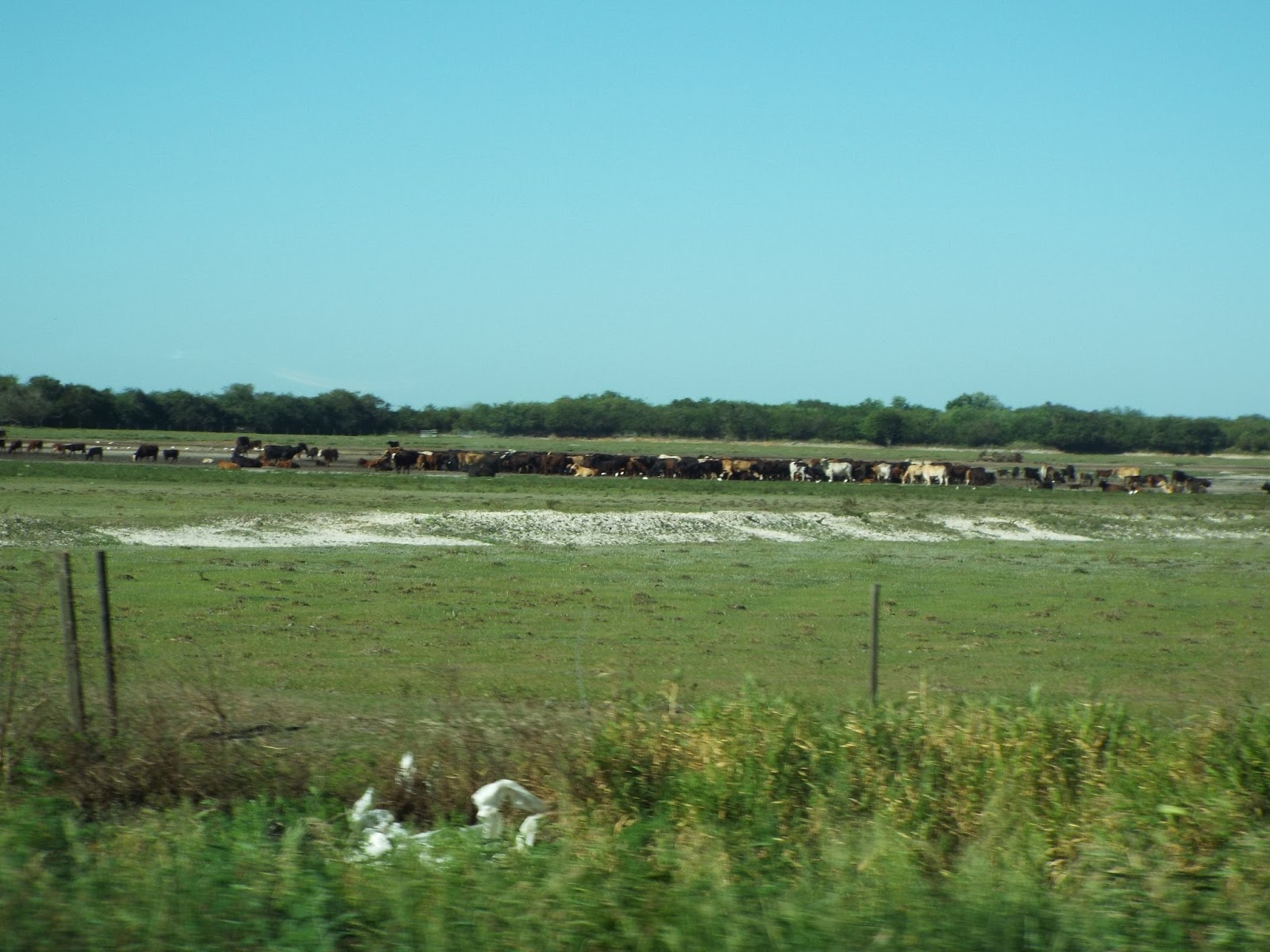 The Great Family Adventure: The Southernmost Point