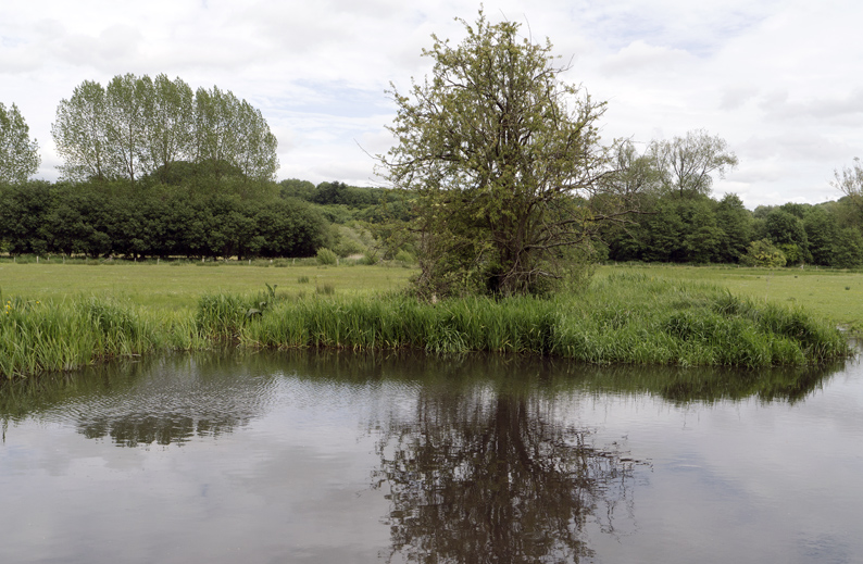 Idiotic Hat: Water Meadows