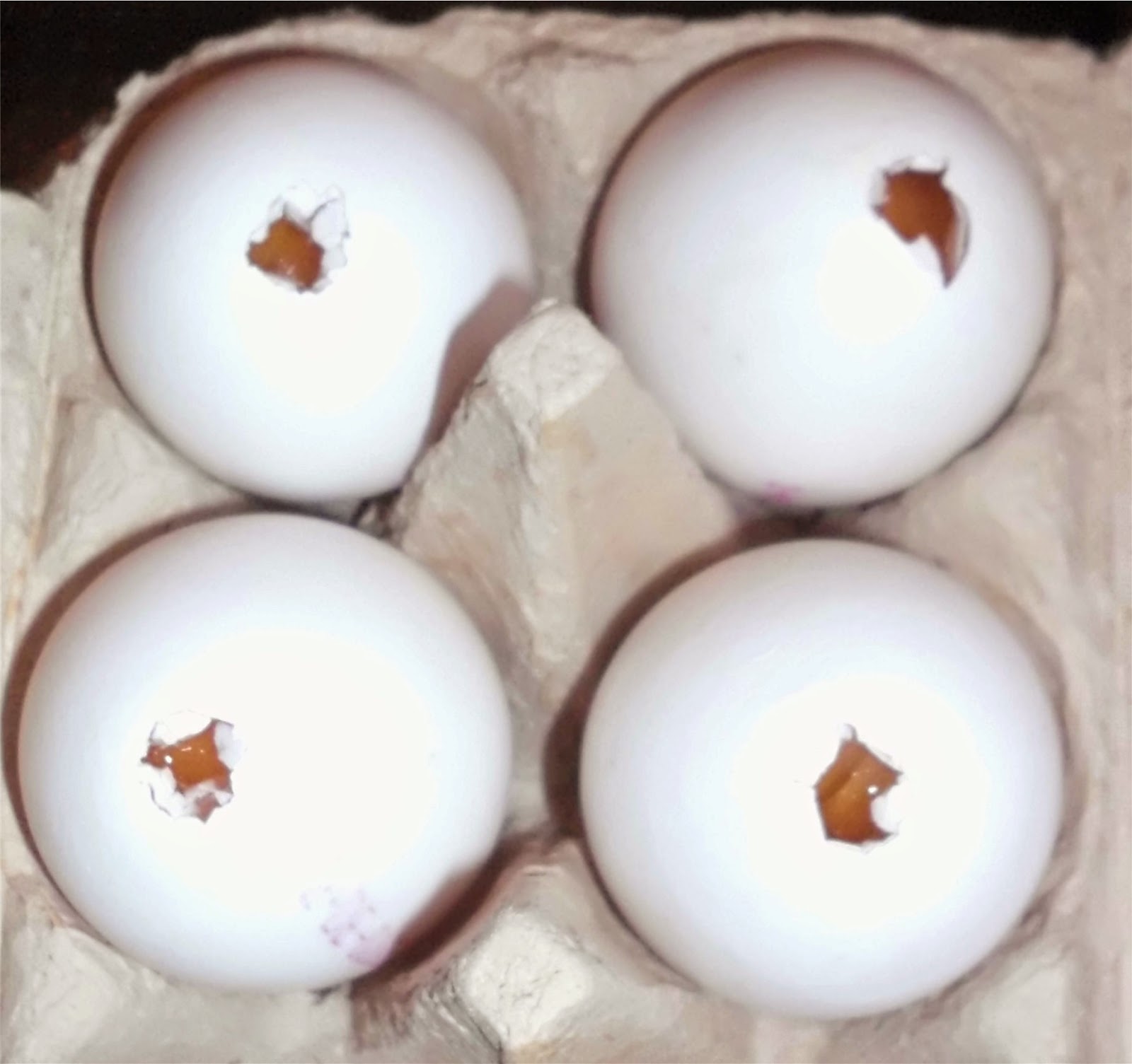 ÜBERRASCHUNGSEI – KUCHEN ( 10 STÜCK) - Kochen und Rezepte