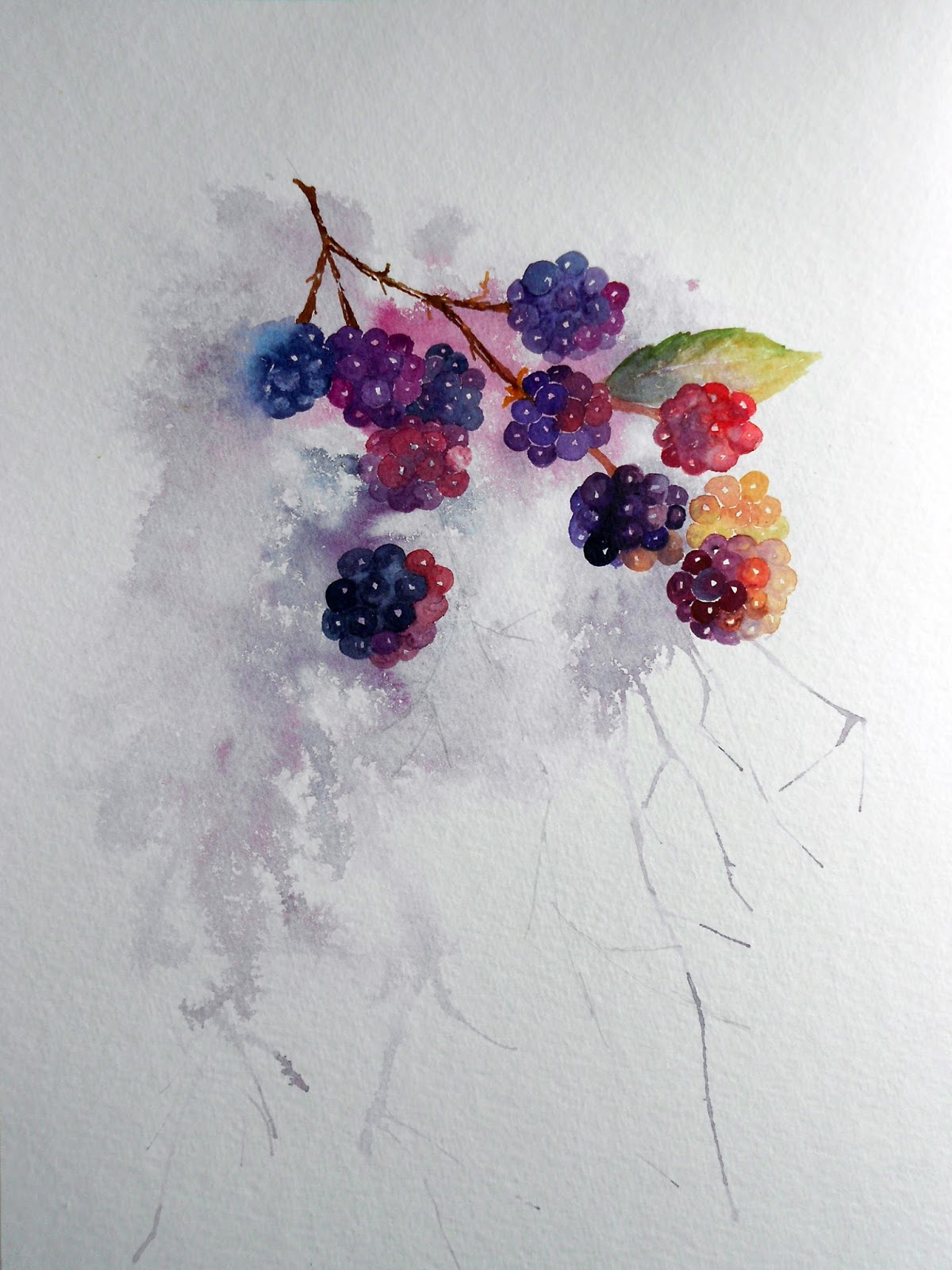 Watercolour Florals: Blackberries Again