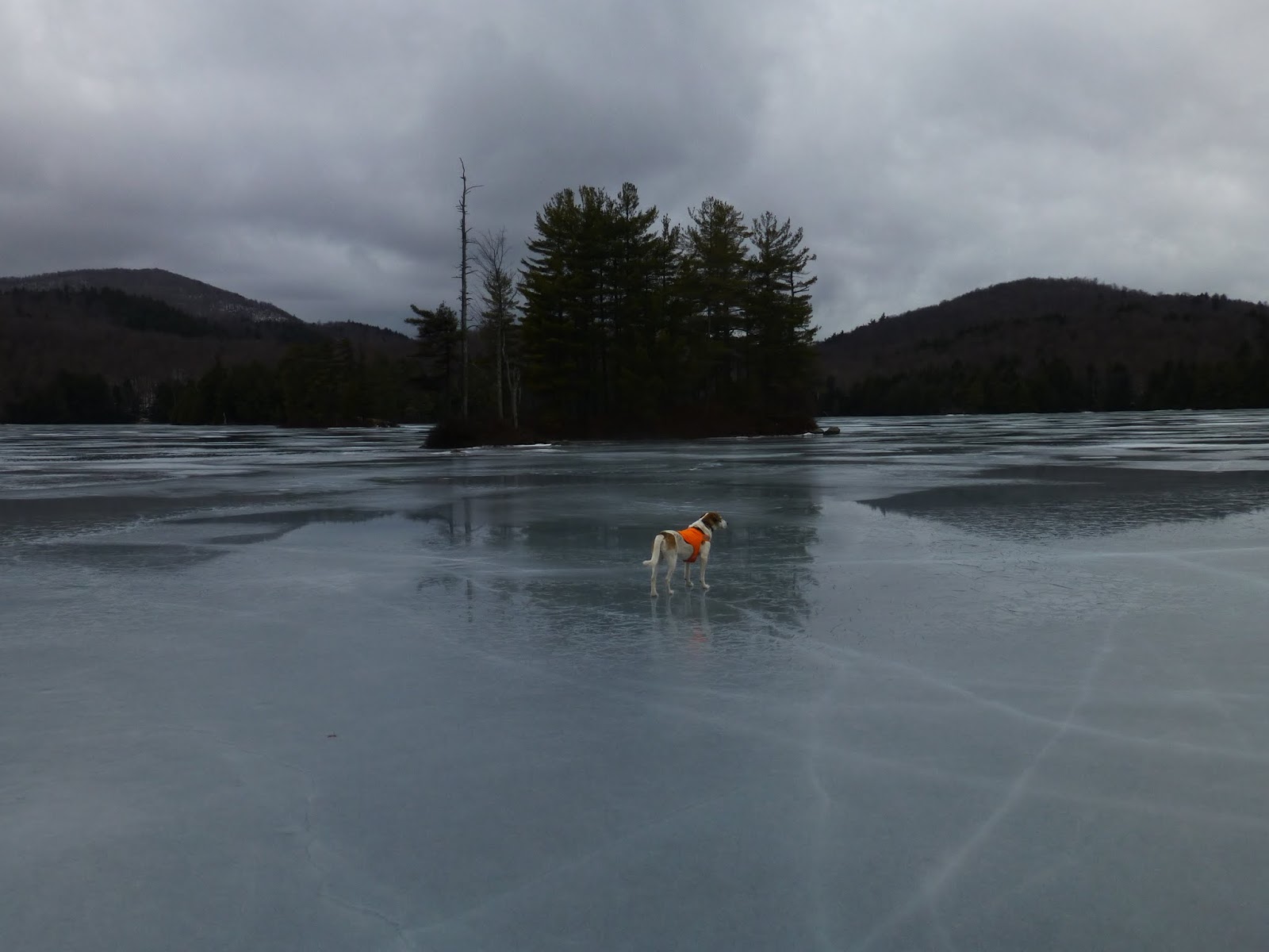 Off on Adventure: Jabe Pond and Surrounding Hills - Lake George Wild ...