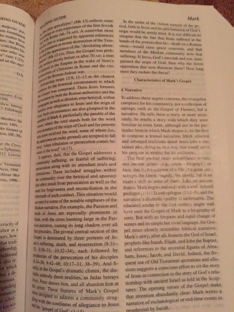 Catholic Bibles: First Look: The Catholic Study Bible (NABRE) 3rd Edition