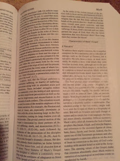 Catholic Bibles: First Look: The Catholic Study Bible (NABRE) 3rd Edition