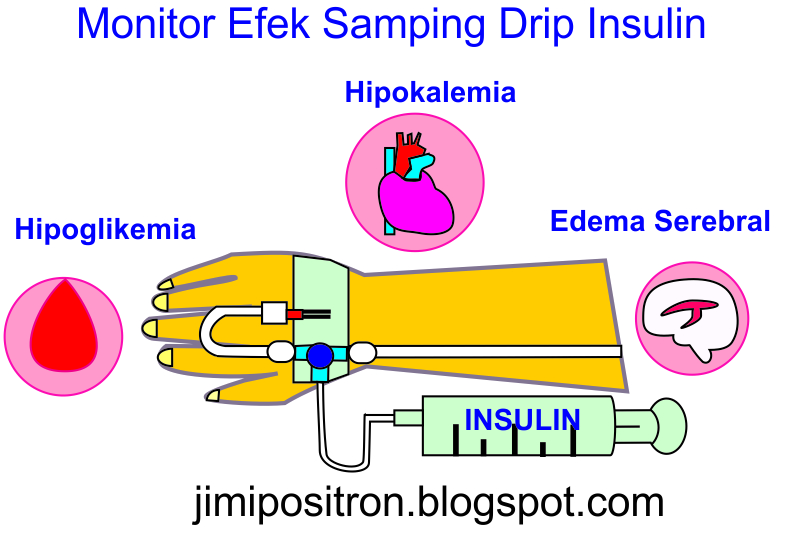 Transport Obat Melalui Membran Sel