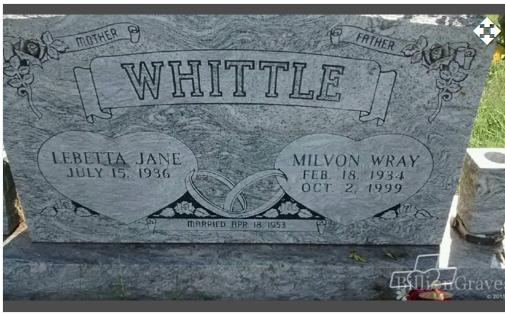 Dirty Dancing Analysis: The Whittle Family of Morgan County, Missouri