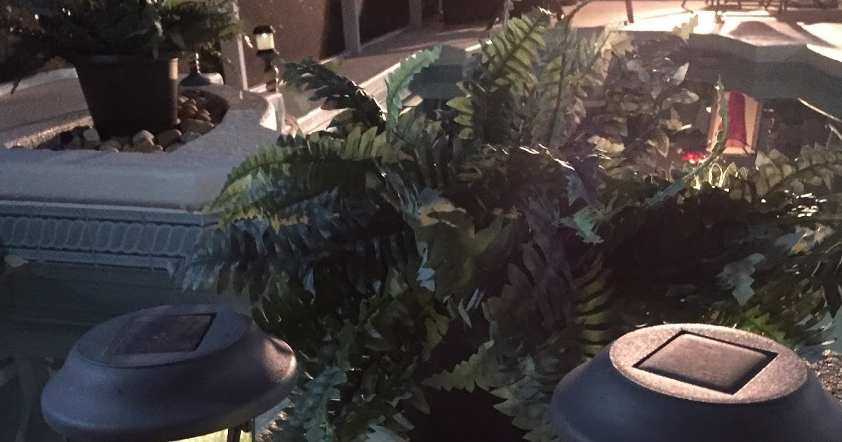 Bonfire Beaches: Seashell Solar Lights