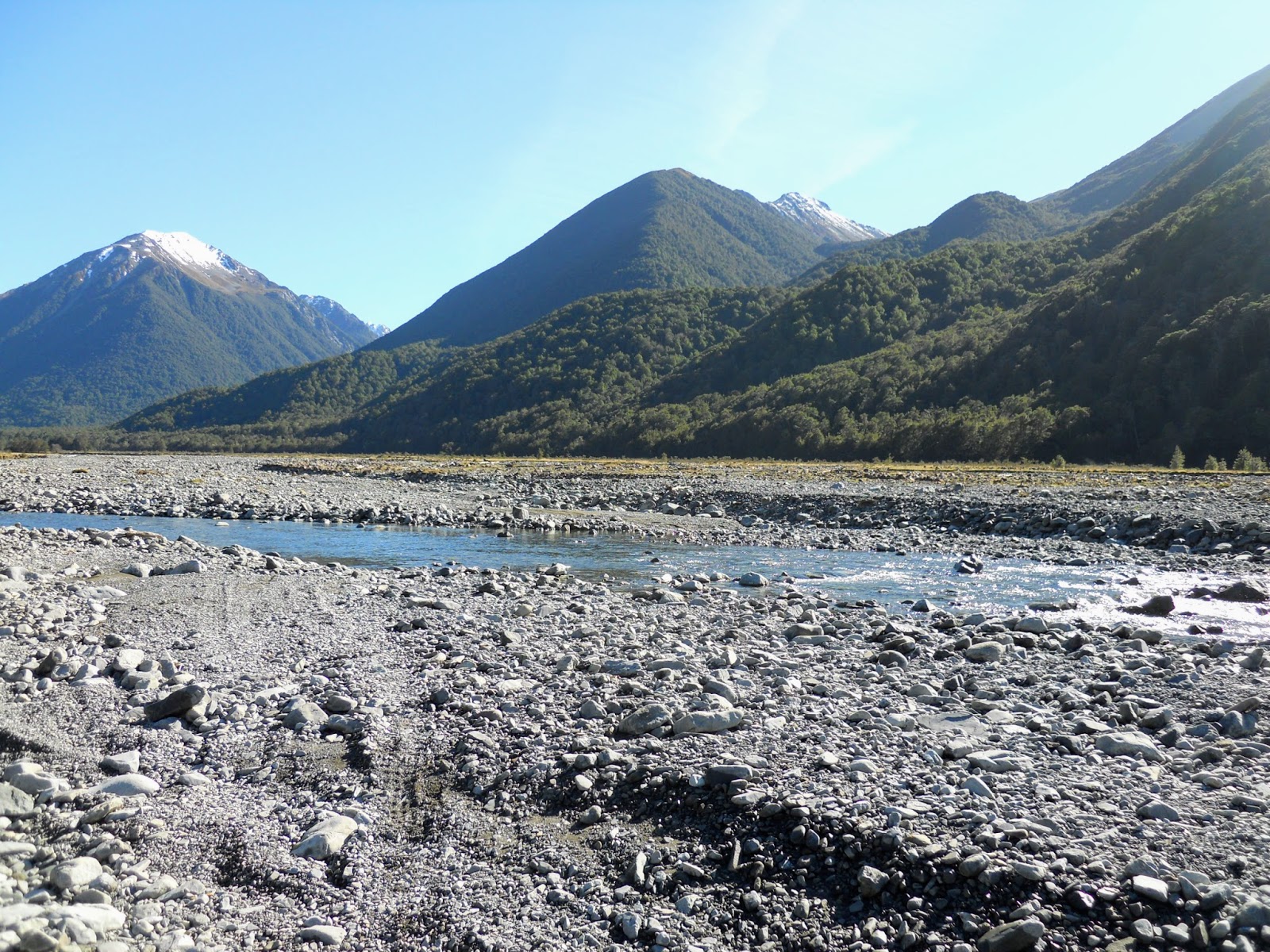 Tramping in the New Zealand backcountry: NZ Bush Adventures: Hawdon ...