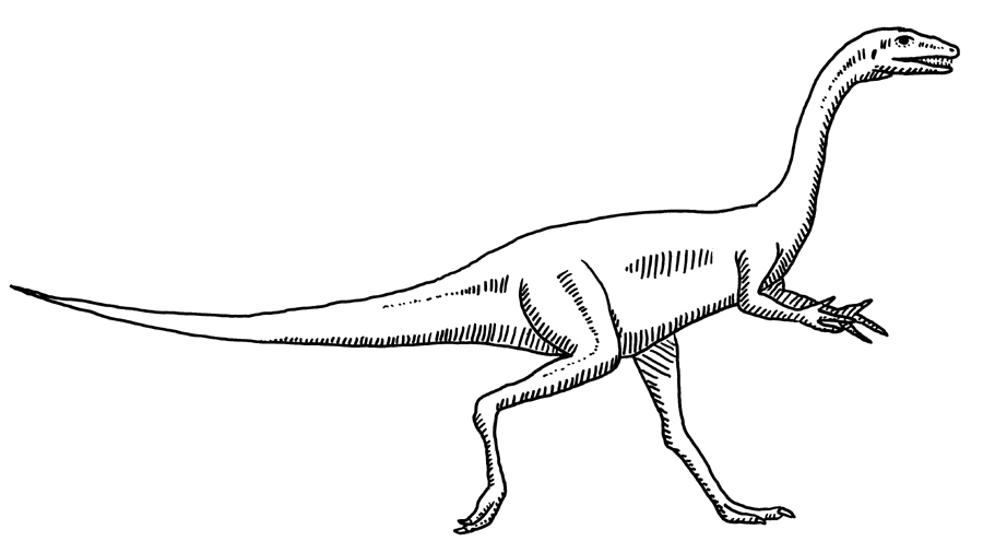 Elaphrosaurus