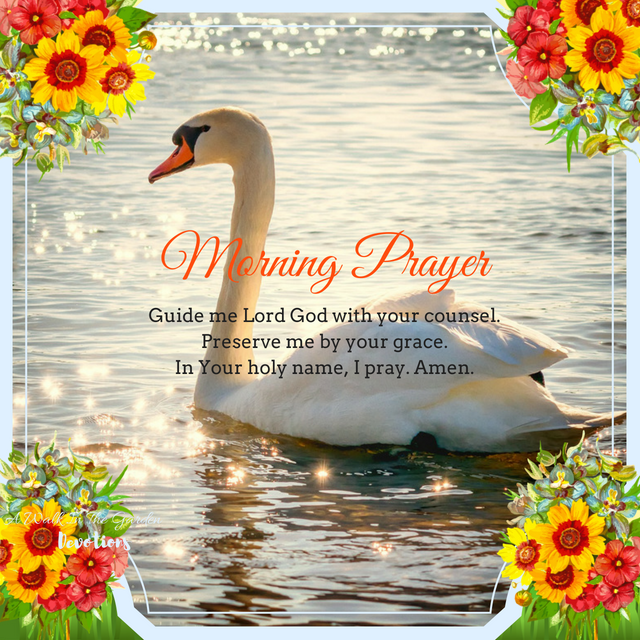 A Walk In The Garden: A Morning Prayer and Bible Reading