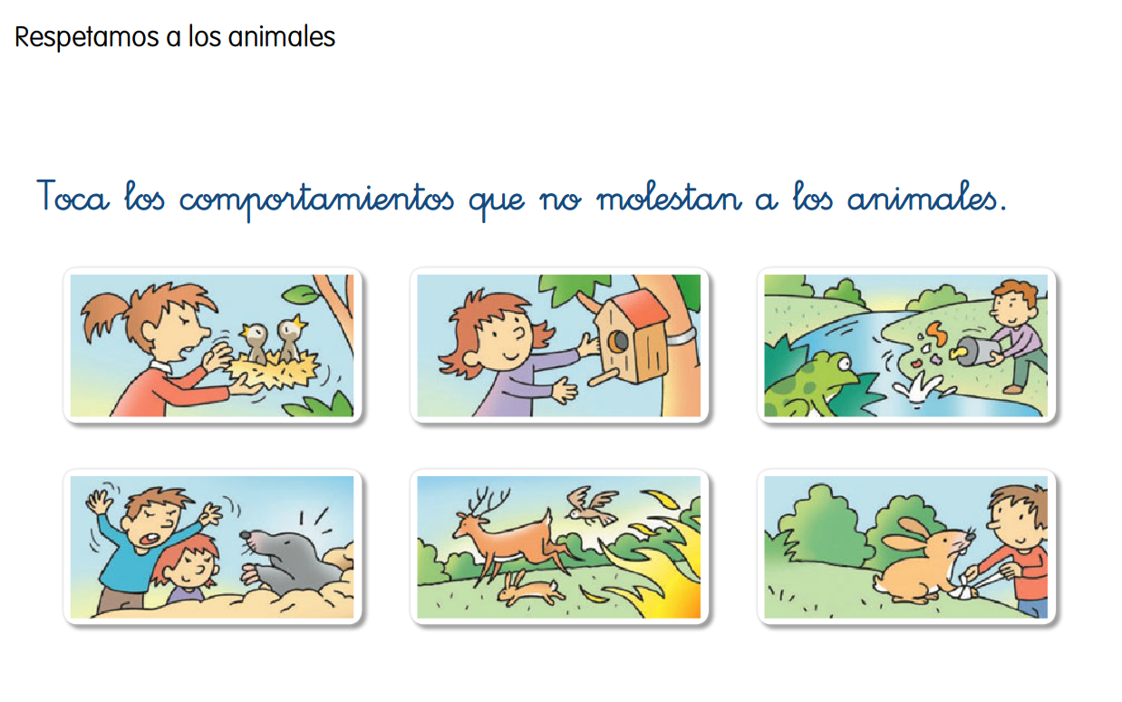 Primero de mi cole: Respetamos a los animales