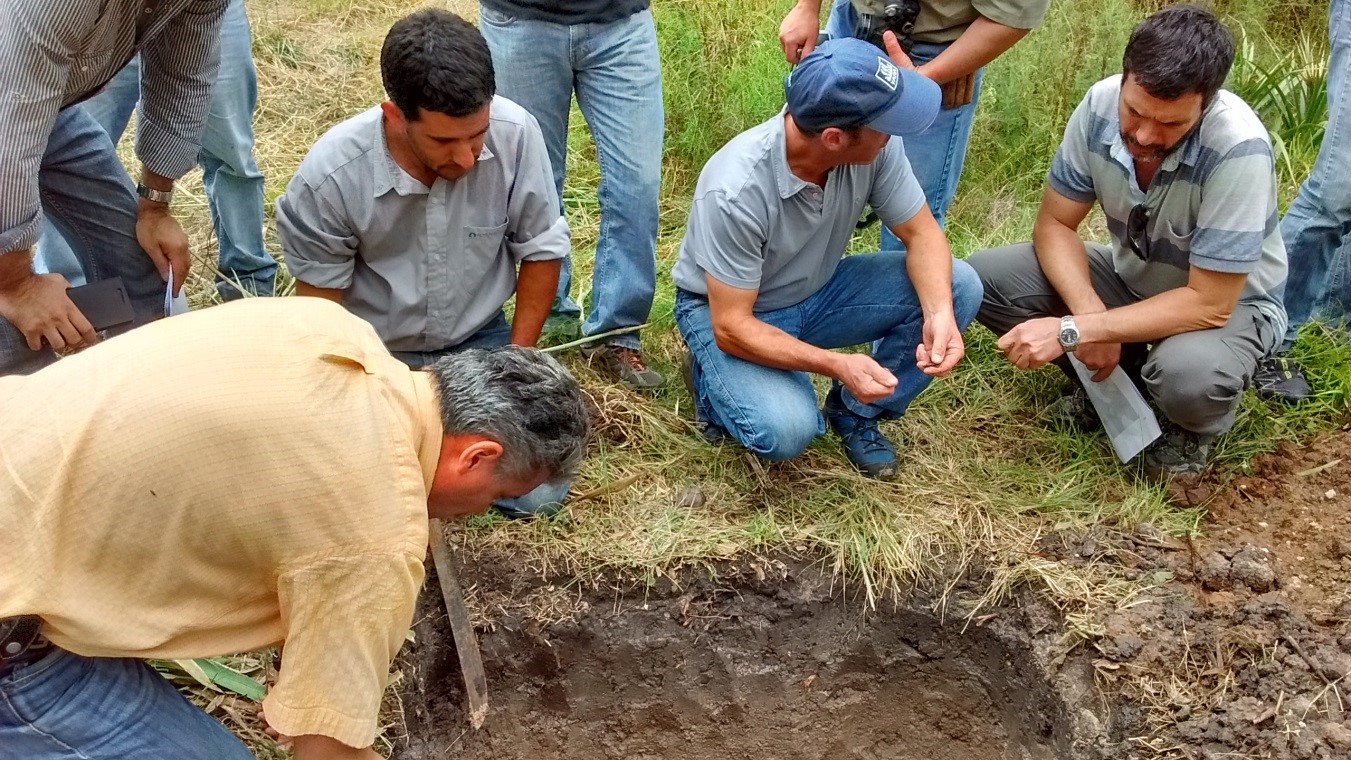 Buenos Aires Forestal: Reunión y recorrida a campo