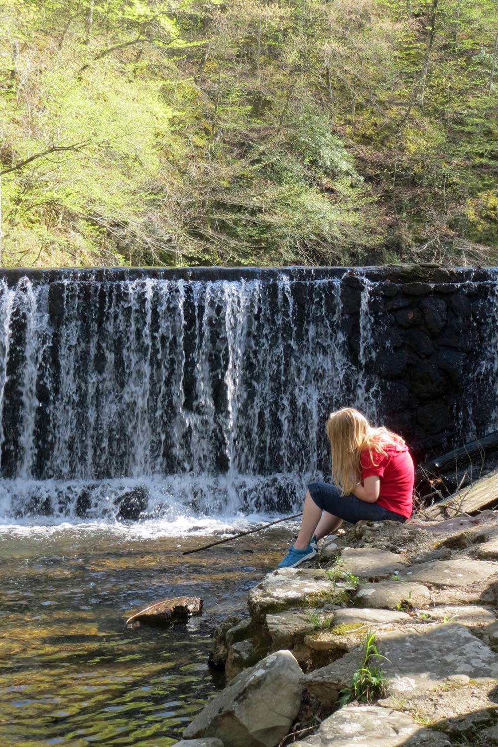 An Arkies Musings: Shady Lake and Bard Springs