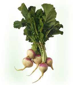 Benefício dos legumes na Saúde: Nabo e seus Benefícios e Propriedades
