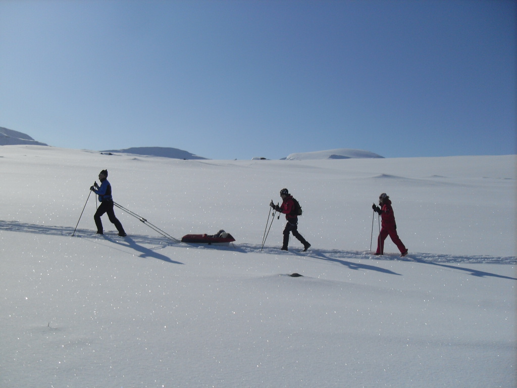 Richard’s Adventure Challenges: Arctic Circle Dog Sled Challenge