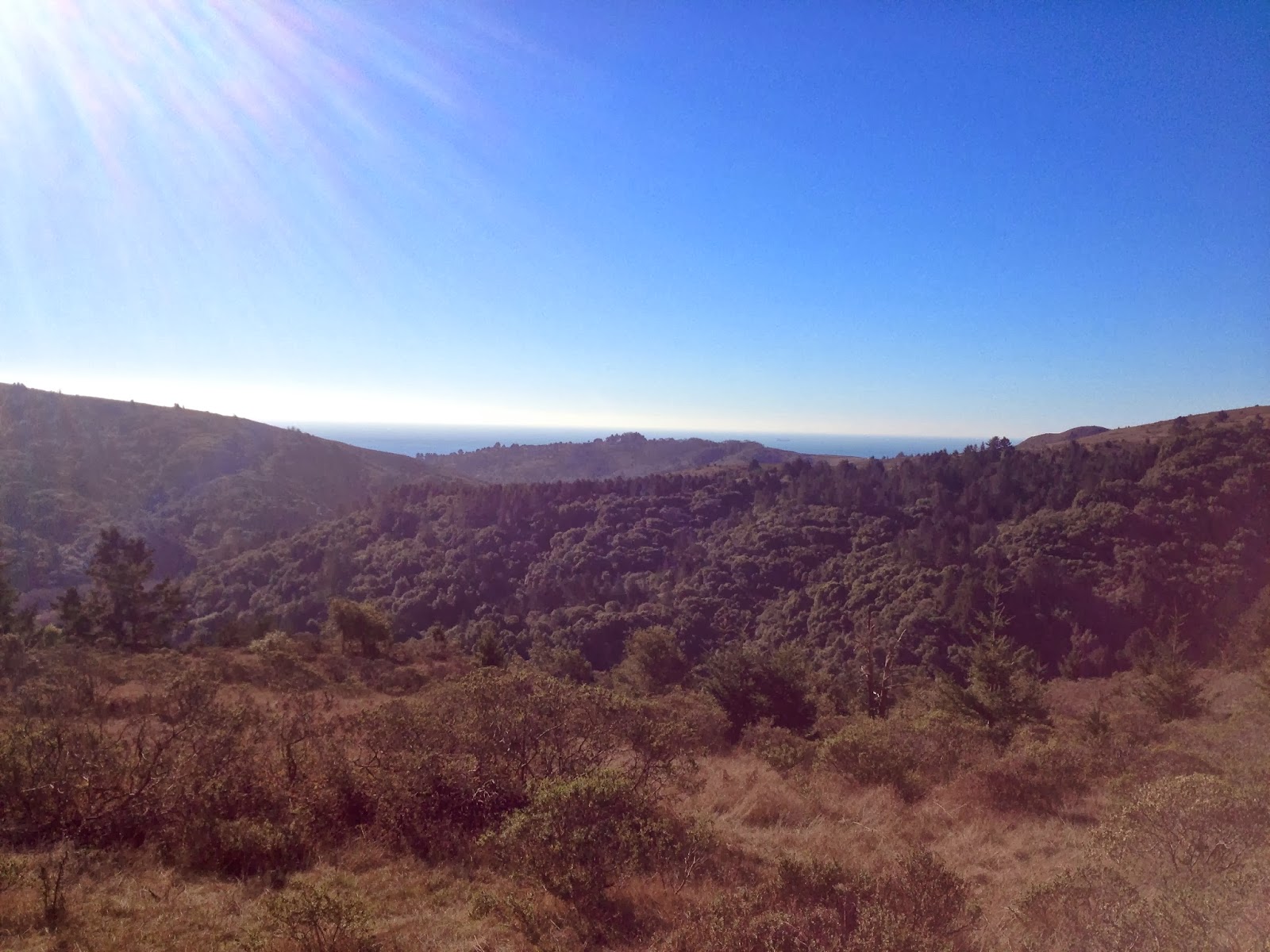 tangled sprites: Steep Ravine Marathon