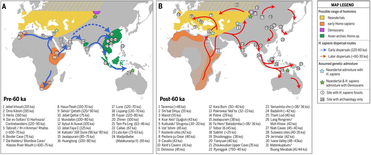 Rosa Rubicondior: Human Evolution - Dispersal Out of Africa