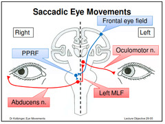 Journal and Conferences on Biomedical Engineering: August 2016