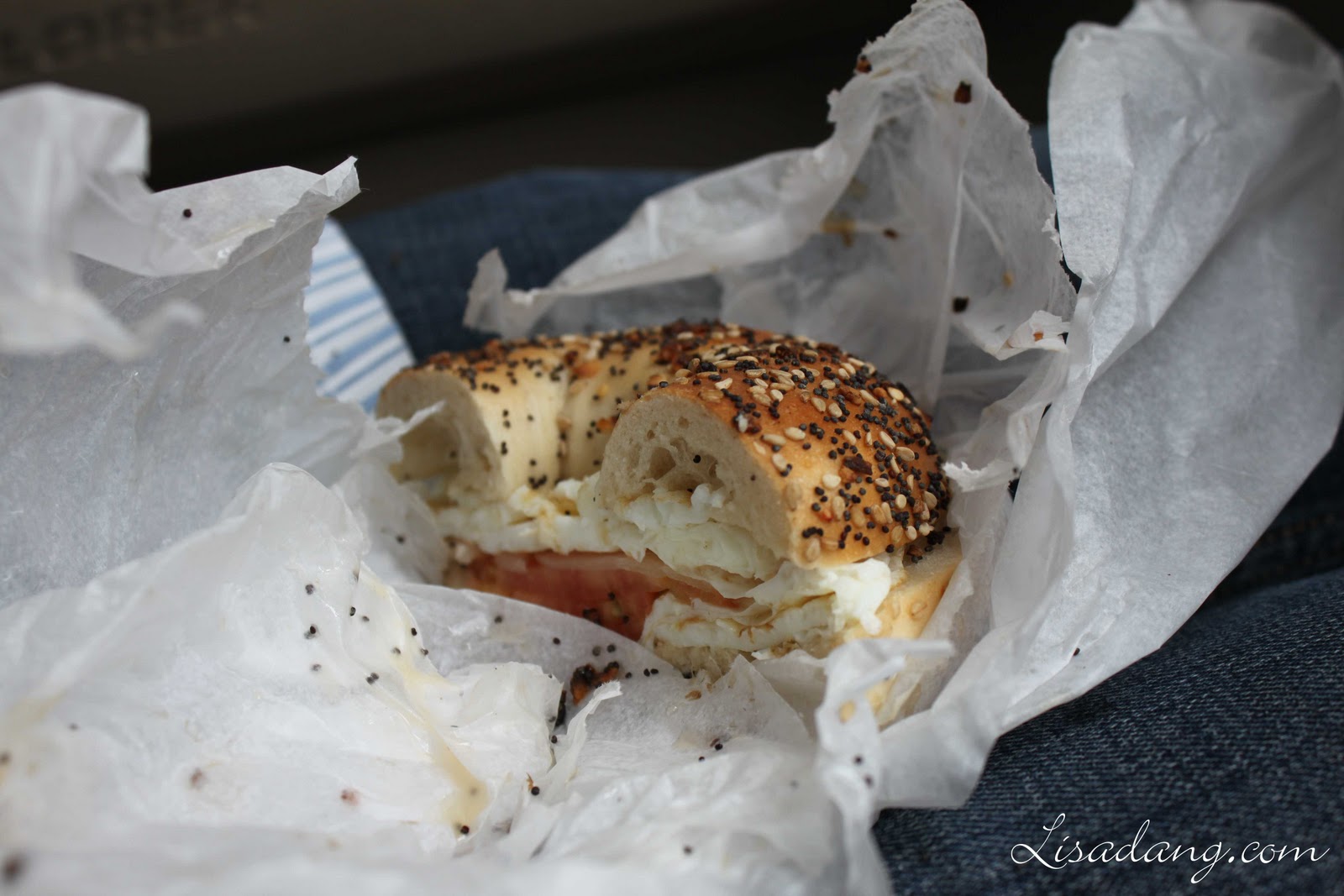 Dang It Delicious: NYC Bagels