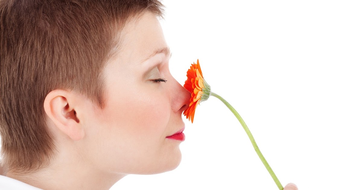 Things We Don't Know: Language of Smell