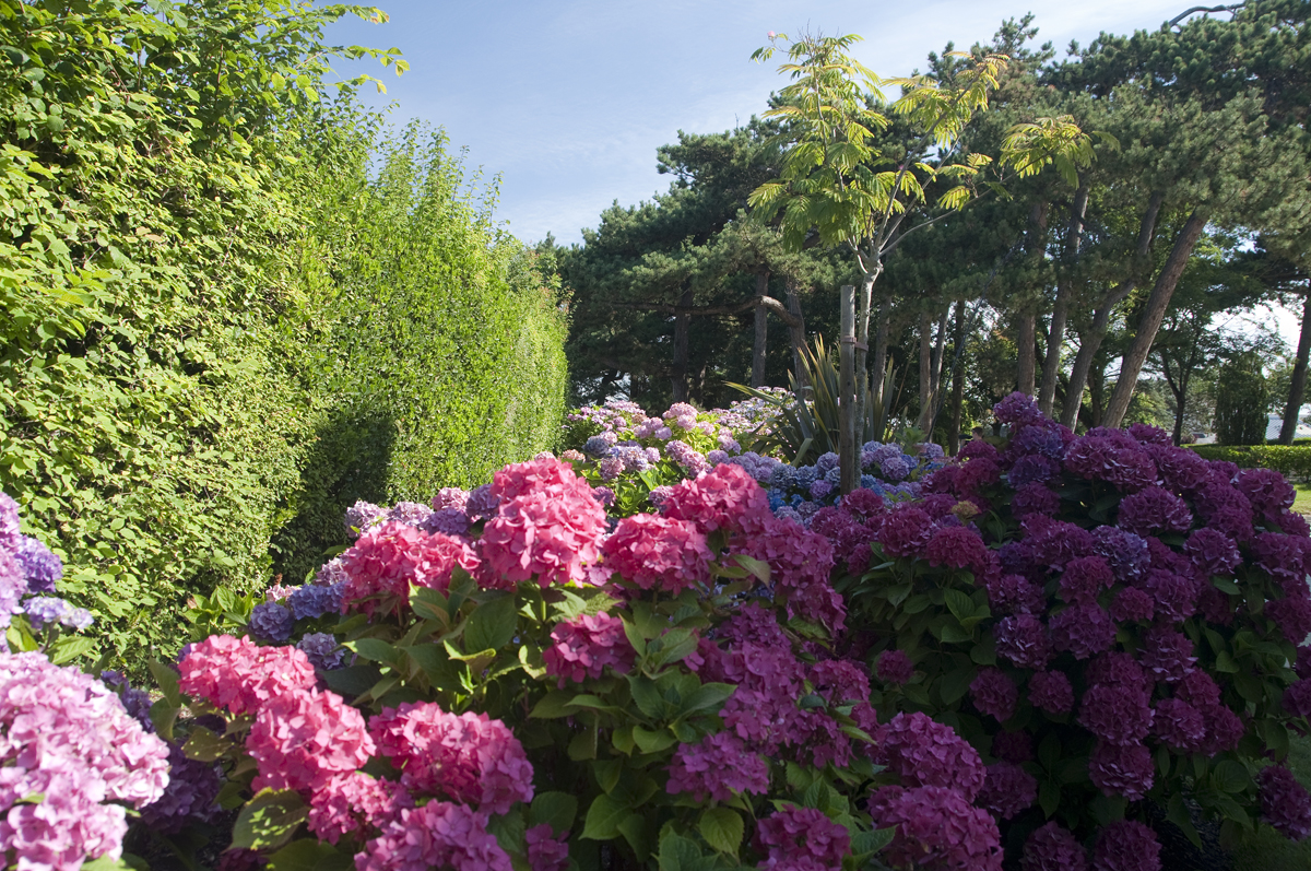 Lisette van Halder Fotografie: Villa Les Rhumbs (Musee Christian Dior)