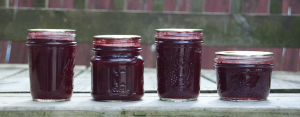 Hippo Flambé: Sour Cherry Raspberry Lime Jam (No Pectin)