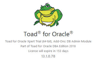 How to solve the TOAD debug TRIGGER problem.