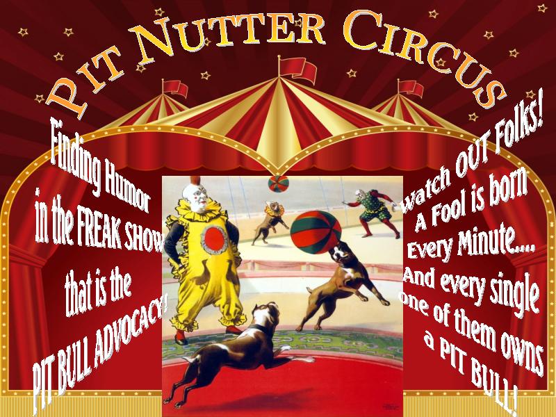 Pit Nutter Circus: Chew Toys for Pit Bulls
