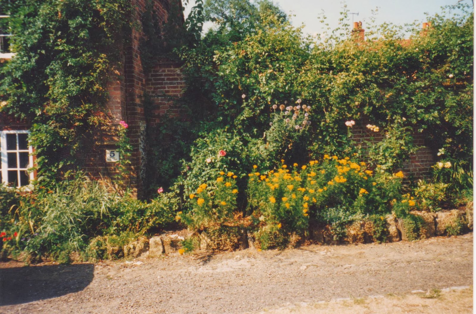 English Historical Fiction Authors: The Beautiful Village of Shere