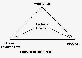 Human Resource Management: Human Resource System