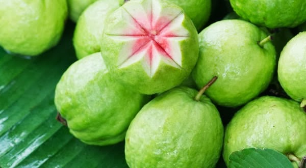 FAIDA ZA ZIPATIKANAZO KWA KULA TUNDA LA PERA ~ Mzizi Mkavu