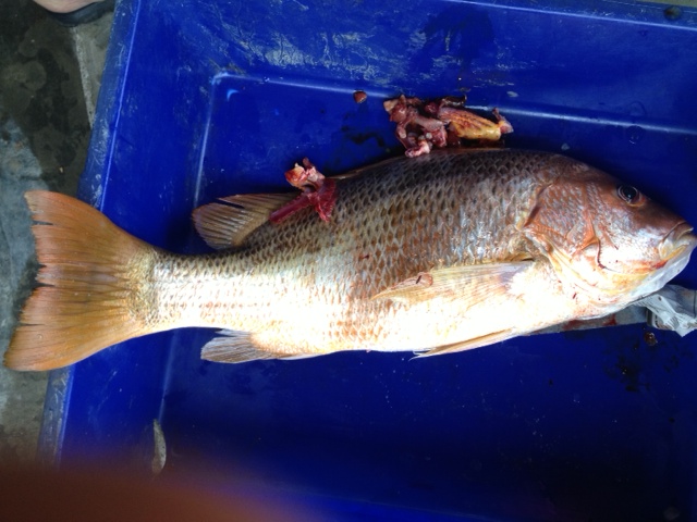 Out & About : yEn: Jenahak @ Jenak