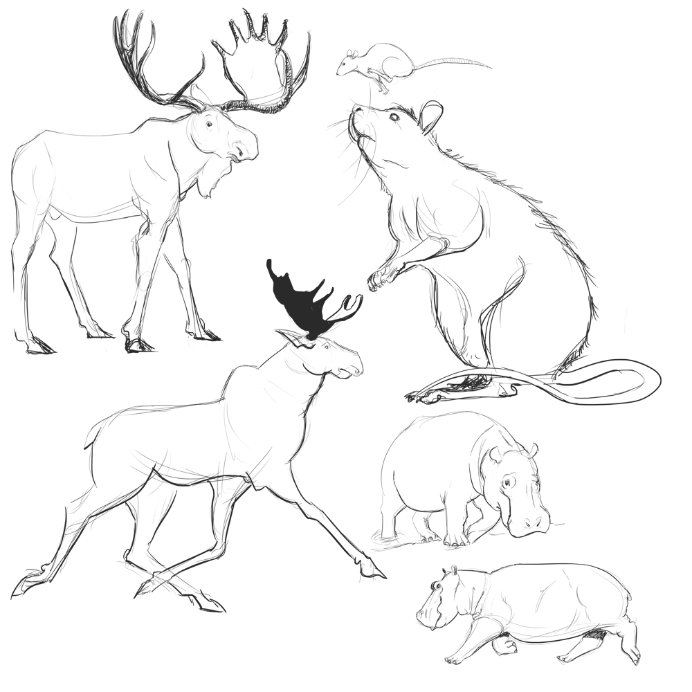 David's Daily Sketch-blog: Day 63: Animal gestures