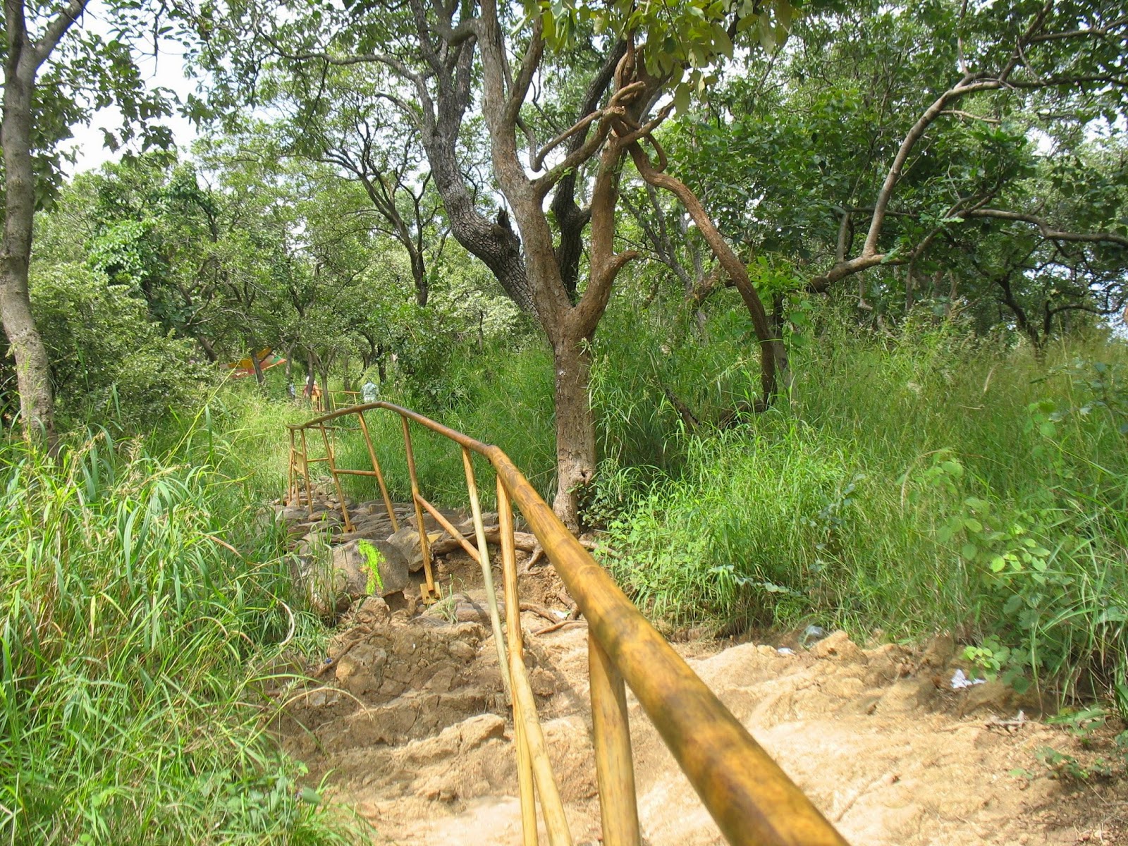 March 2015 - ARUNACHALA GRACE