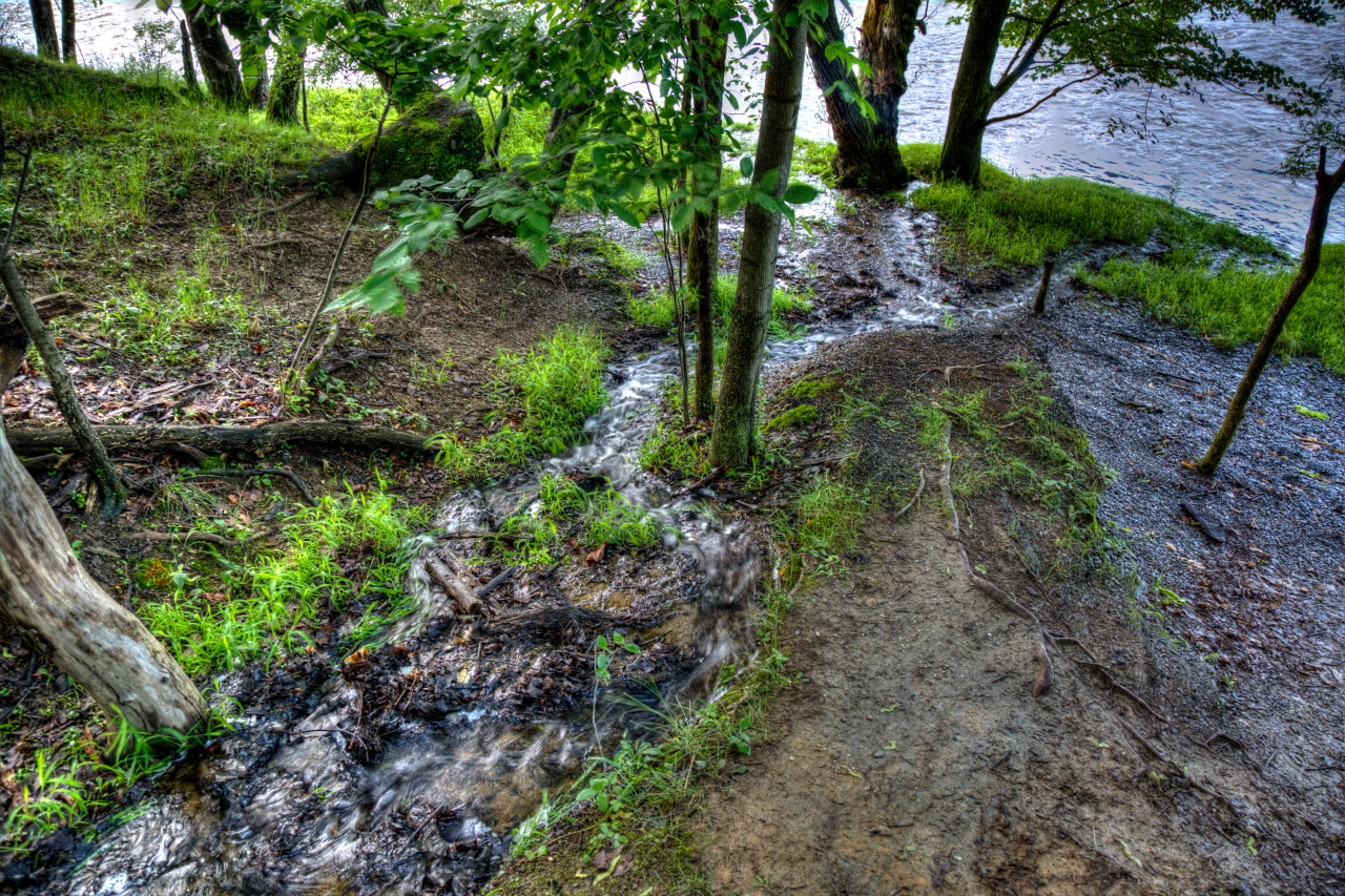 TrulandPhoto MiniBlog: Reflections, Rivulets and Rivers - Part 2, Rivulets