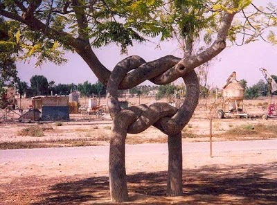 Top 19 funny trees