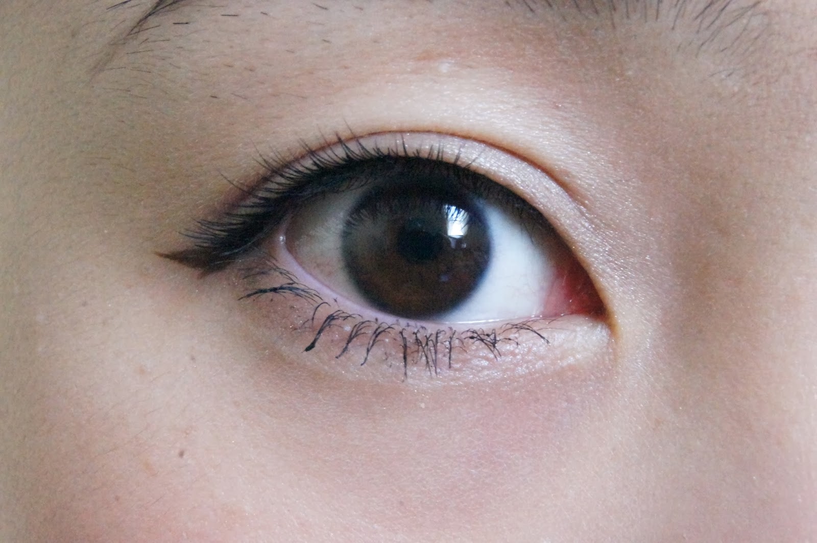 All About False Eyelashes (Part 3)